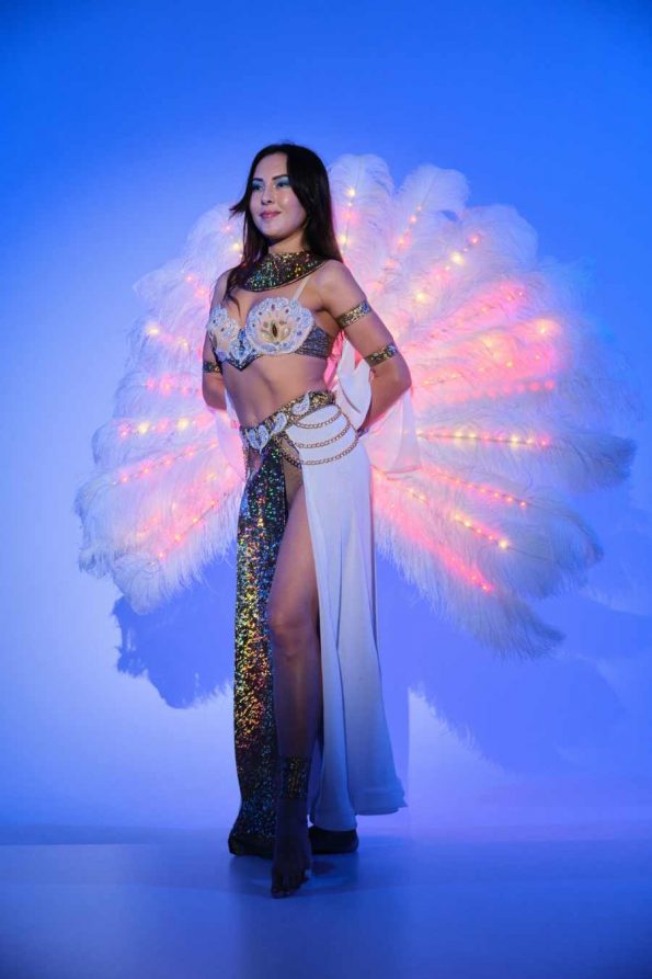 Smart Burlesque LED Fans with Feathers _P26 - by ETERESHOP